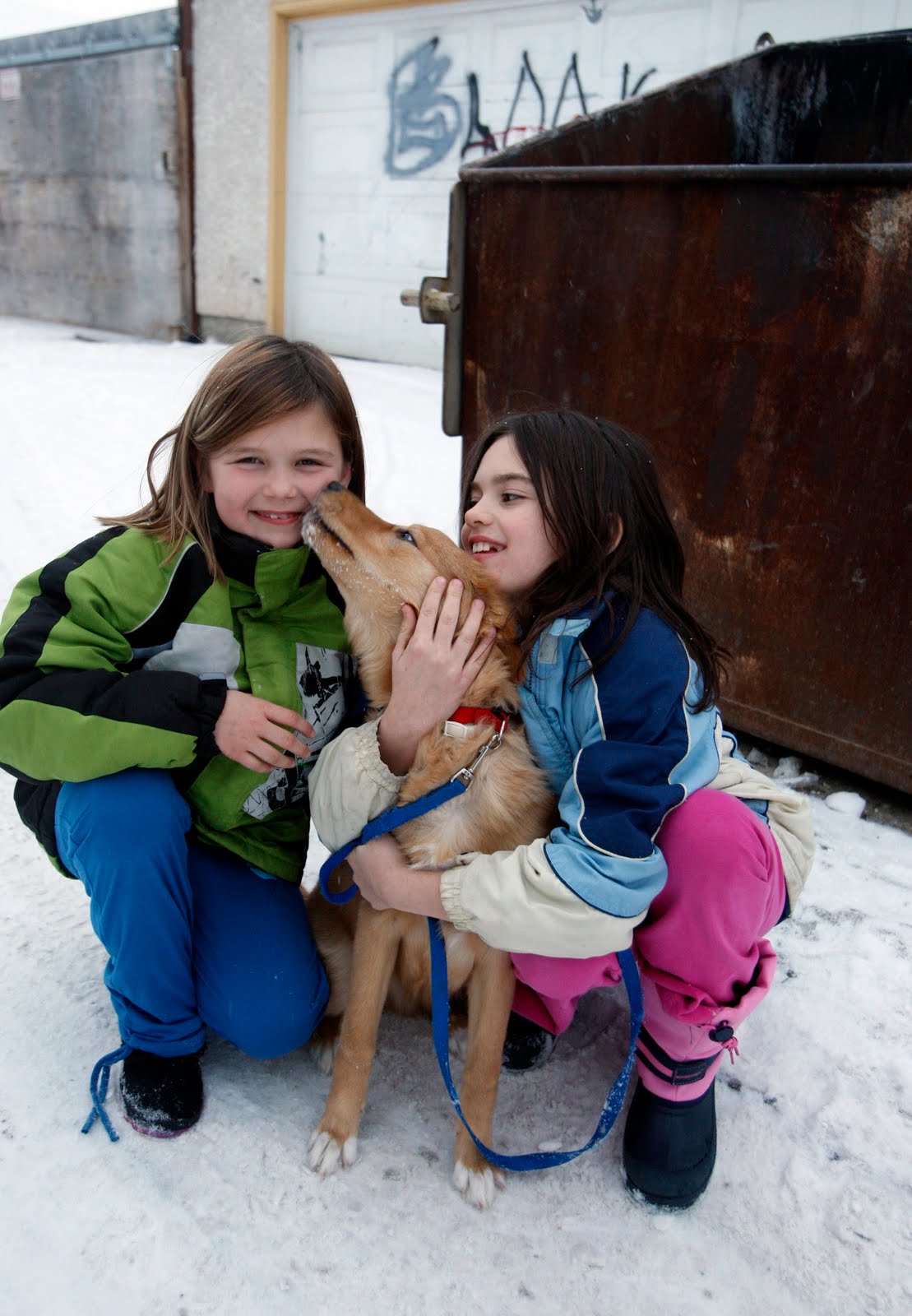 Carreen's Rescue Blog